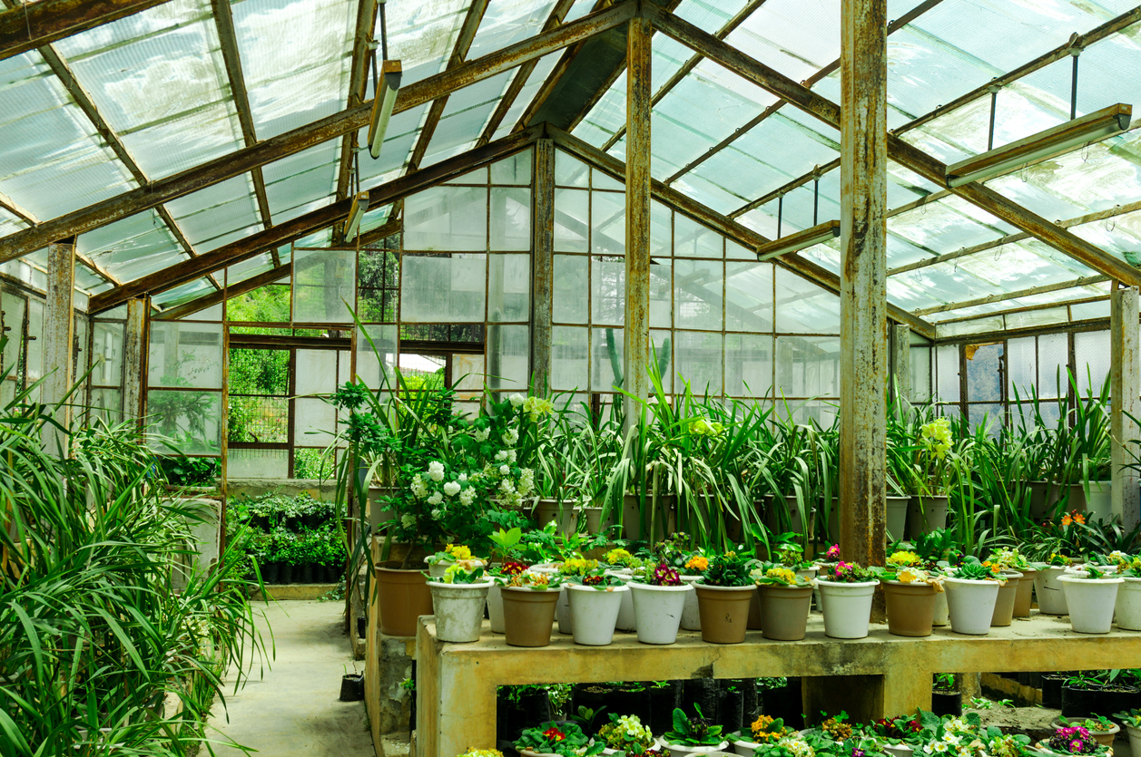 The Lean to Greenhouses And Their Benefits UrbanFarmOnline
