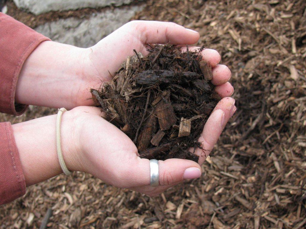 Here is some Advice on Mulching - Urban Farm Online