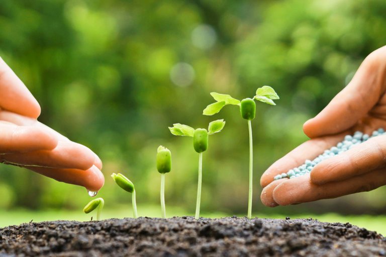 How Can You Grow Your Garden Without Seeds? - Urban Farm Online