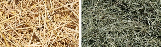 Why Is A Hay-Bale Garden The Great Thing To Start? - Urban Farm Online