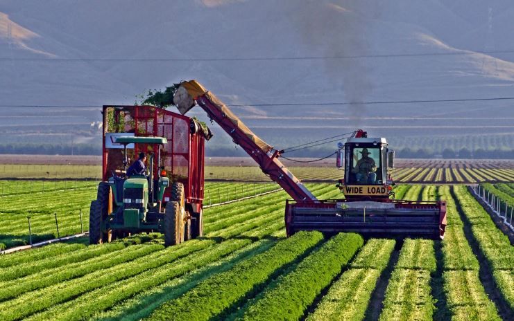 How Digital Transformation Trends Affect Agriculture - Urban Farm Online