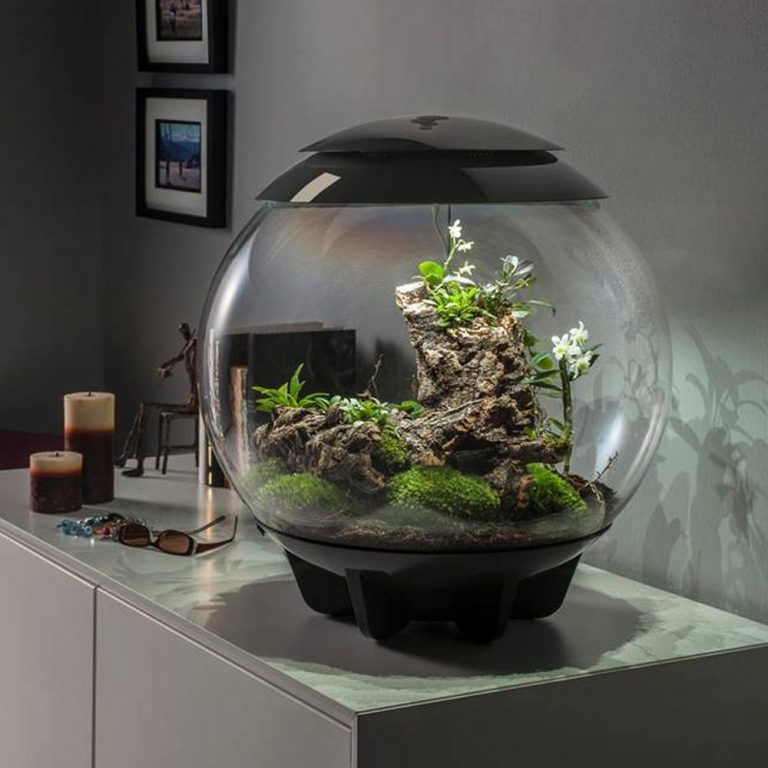 10 Most Beautiful Terrariums - Urban Farm Online