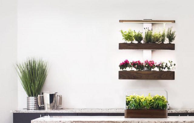 These Are The 14 Indoor Smart Garden Ideas That You Need to Know About ...