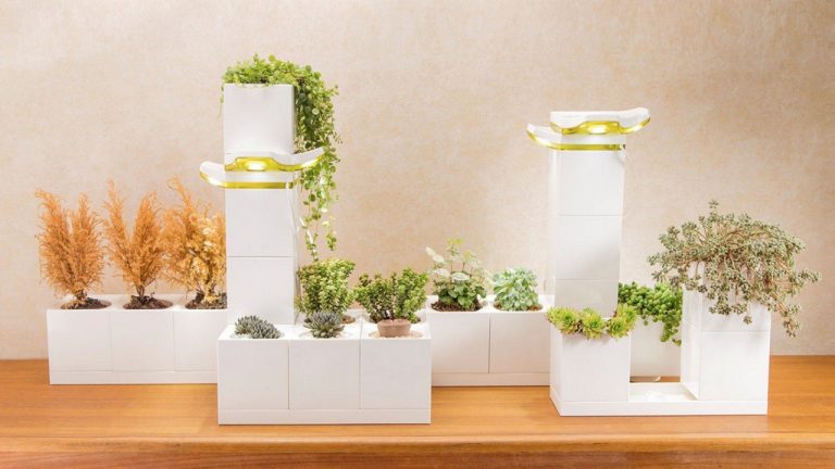 These Are The 14 Indoor Smart Garden Ideas That You Need to Know About ...