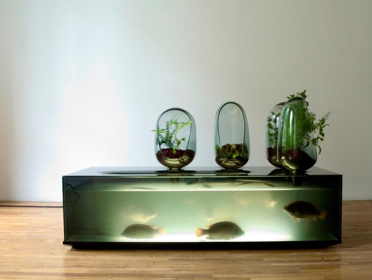 10 Most Beautiful Terrariums - Urban Farm Online