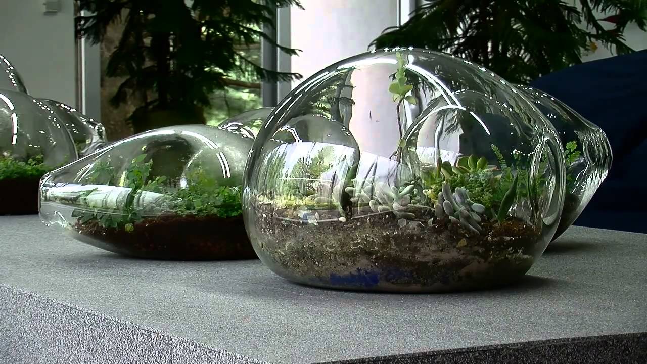 10 Most Beautiful Terrariums - Urban Farm Online
