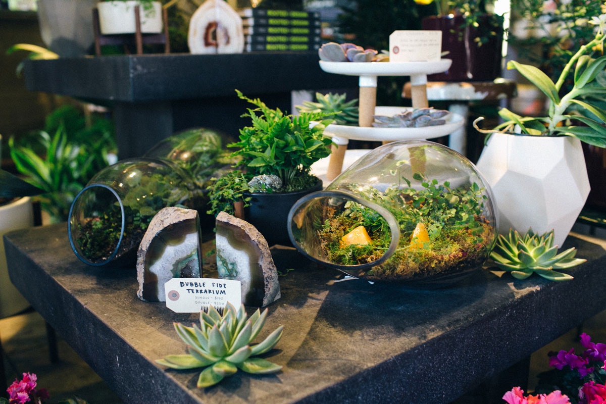 10 Most Beautiful Terrariums - Urban Farm Online