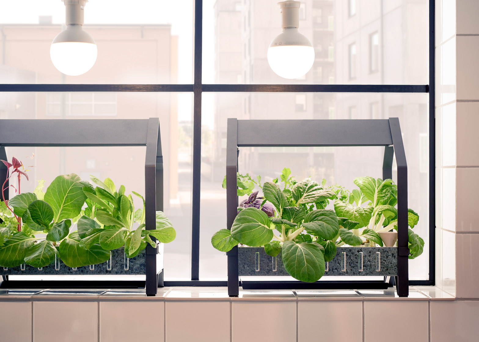These Are The 14 Indoor Smart Garden Ideas That You Need to Know About ...