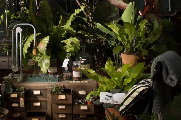 10 Most Beautiful Terrariums - Urban Farm Online