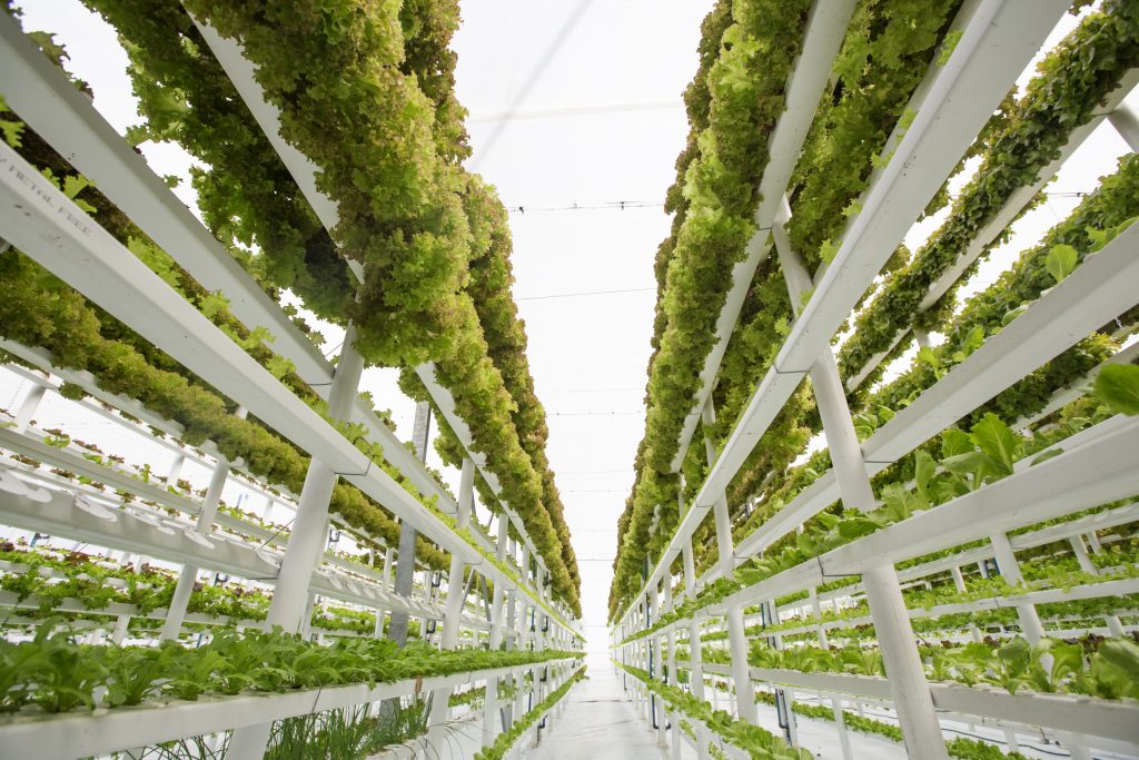 Common Types of Urban Agriculture - UrbanFarmOnline.com