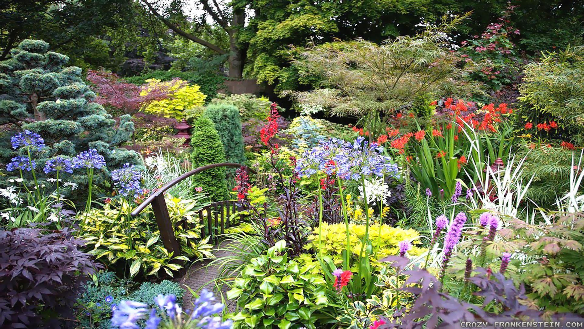 Great Backyard Garden Ideas for Your Garden - Urban Farm Online
