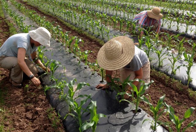 Jobs People Do on a Farm - Urban Farm Online