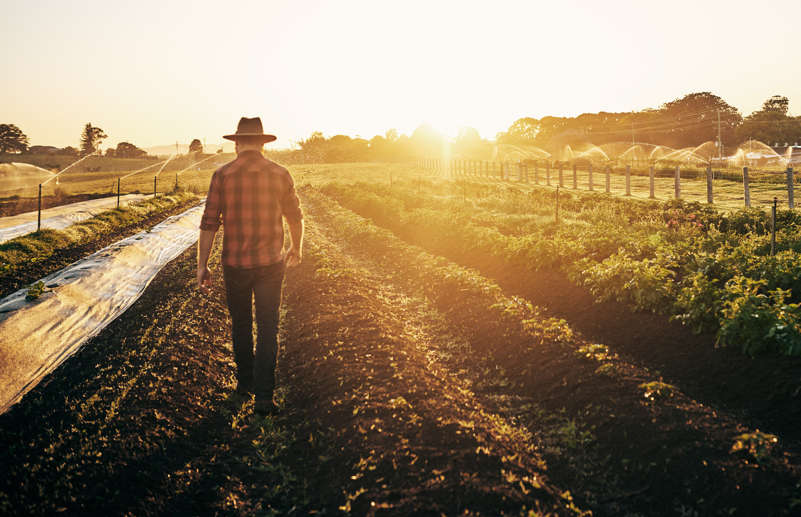 4 Things You Should Absolutely Have on Your Farm - Urban Farm Online