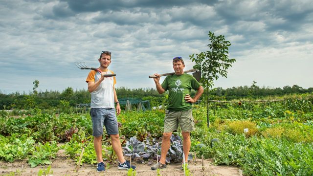 4 Things You Should Absolutely Have on Your Farm - Urban Farm Online