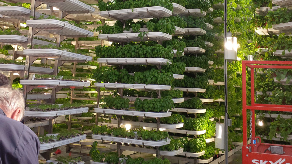 Hydroponics Indoor Farming - What You Need to Know? - Urban Farm Online