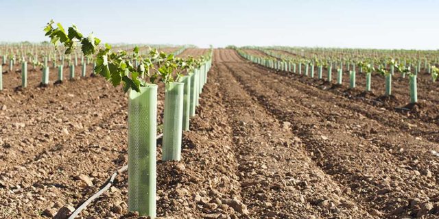 Why You Need High-Quality Vineyard and Orchard Equipment for Your ...