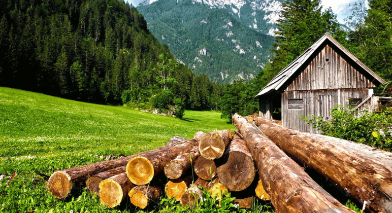 Reasons to Consider Moving to a Rural Area - Urban Farm Online