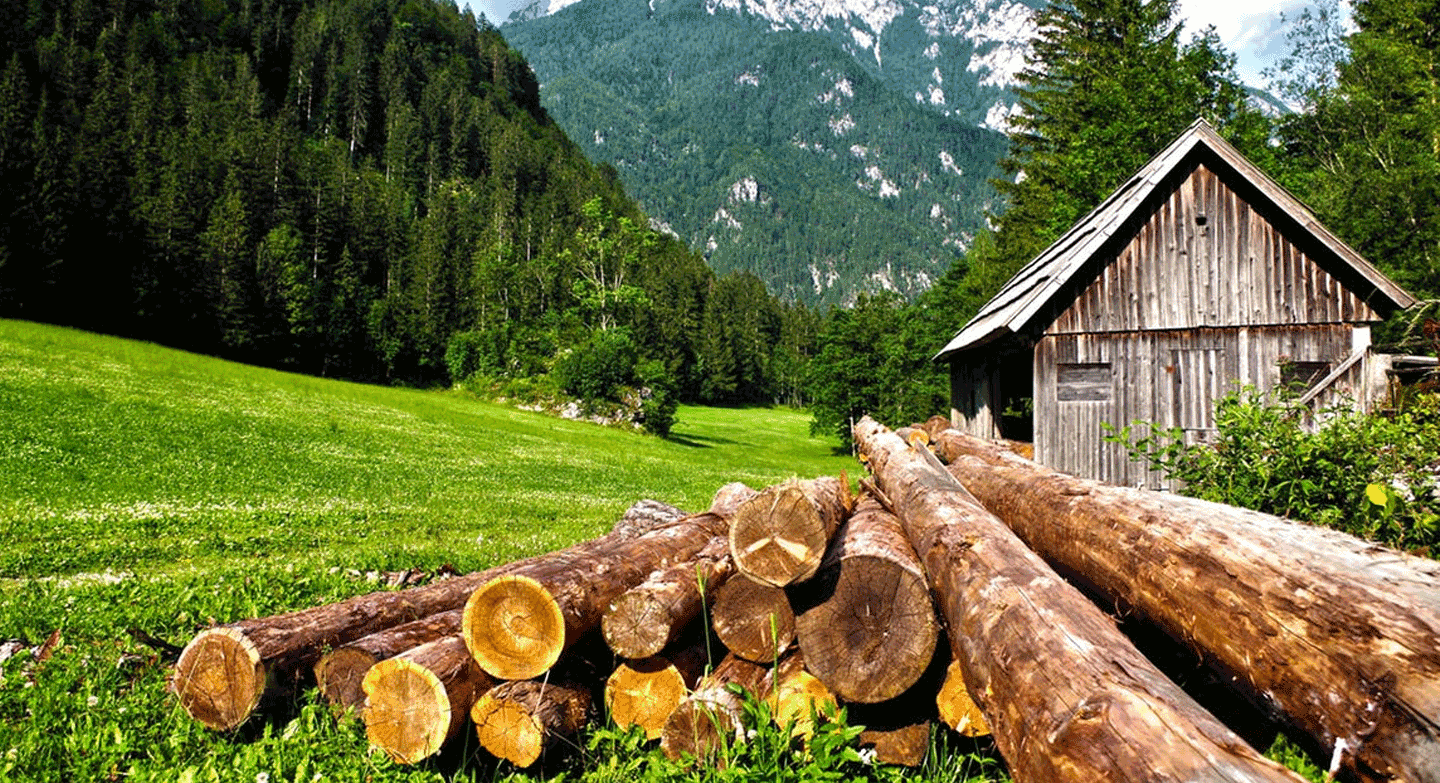 Reasons to Consider Moving to a Rural Area - Urban Farm Online