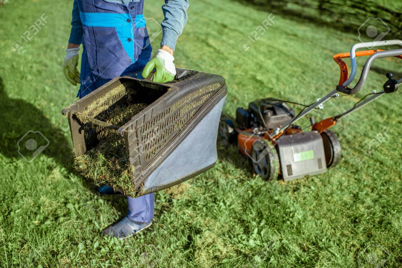When is the Best Time of Day to Mow your Lawn? - Urban Farm Online