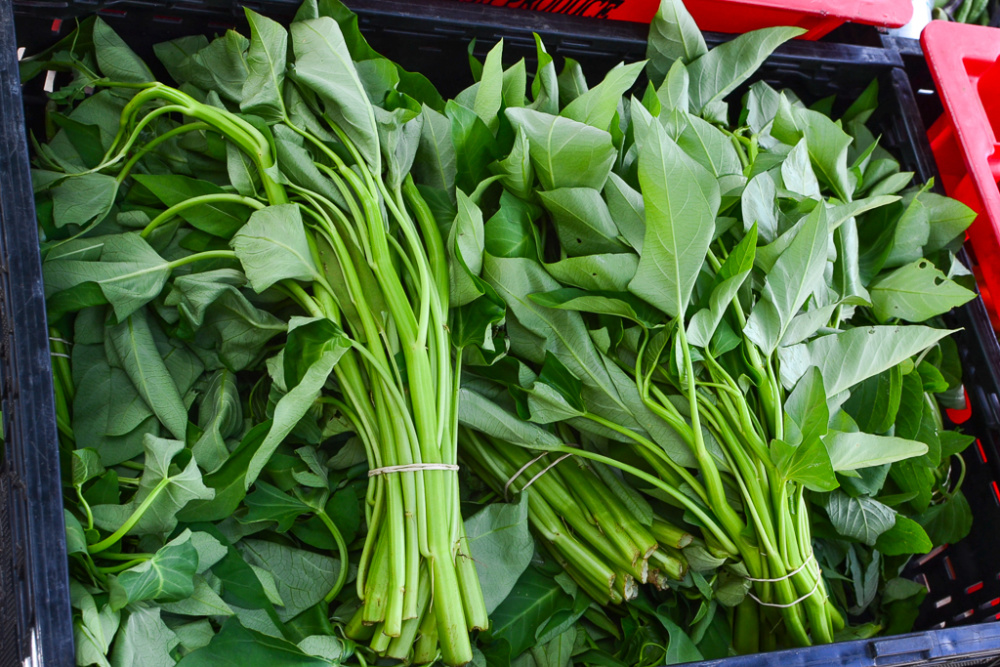 7 Healthy Vegetables You've Never Heard Of - Urban Farm Online