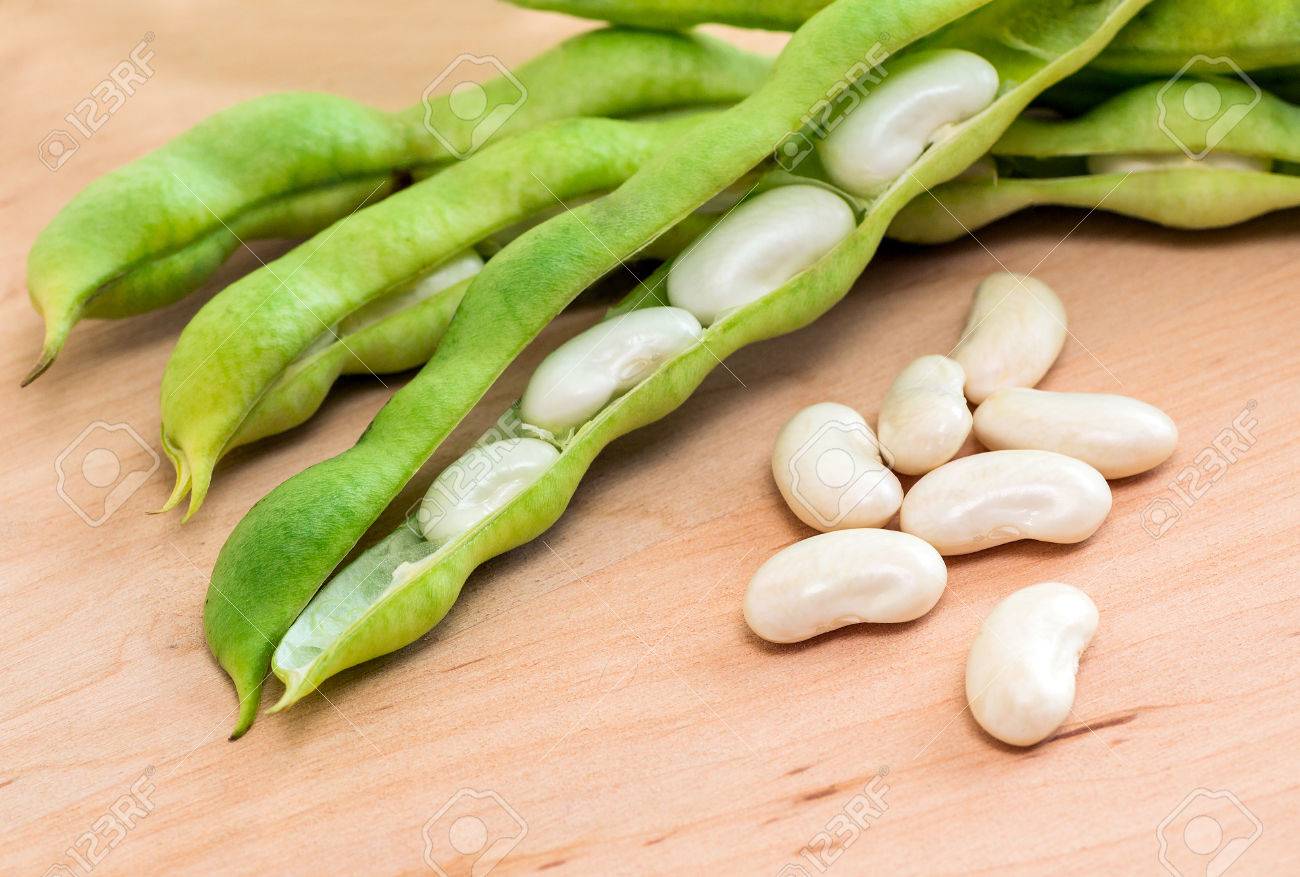 How Do You Correctly Classify a Bean? - Urban Farm Online
