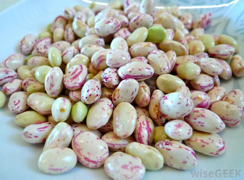 How Do You Correctly Classify a Bean? - Urban Farm Online