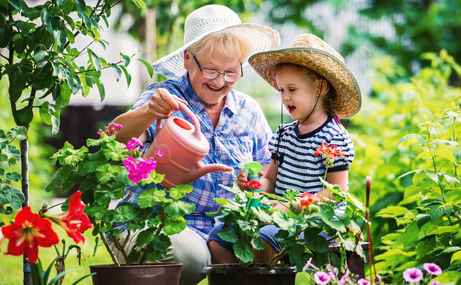 How to Design an Outdoor Living Space in 5 Easy Steps - Urban Farm Online