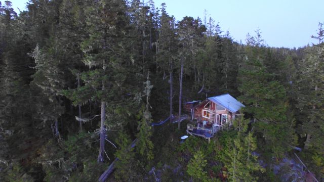 Tips For Living Life Off The Grid - Urban Farm Online