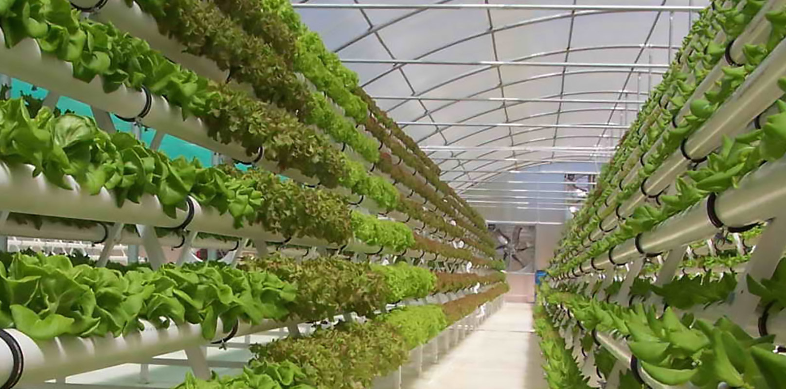 Soil In Farming - Risky And A Ceasing Need Of The Past? - Urban Farm Online