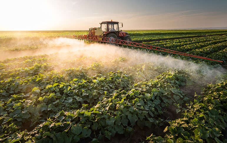Chemical Farming versus Organic Farming. Comparing the Impact on Human ...