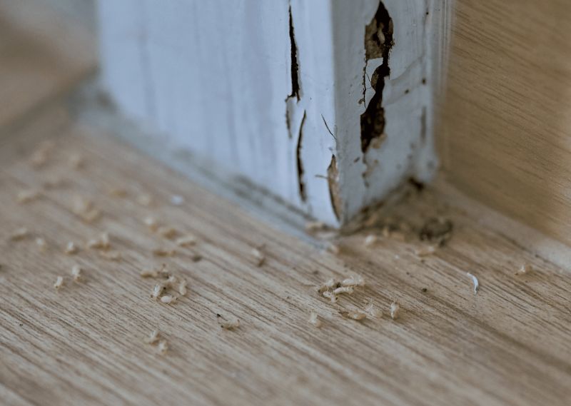 8 Ways to Minimize Termite Attacks in Your Backyard Garden - Urban Farm ...