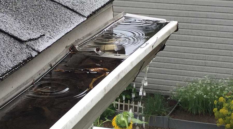 6 Warning signs your Gutters are Clogged - Urban Farm Online