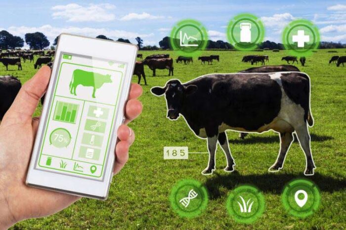 8 Ways Modern Technology is improving Livestock Farming - Urban Farm Online 8 Ways Modern Technology is improving Livestock Farming - Urban Farm Online