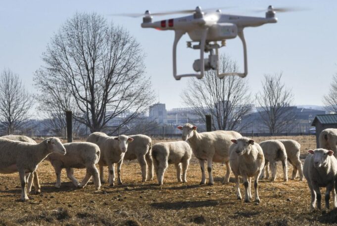 8 Ways Modern Technology is improving Livestock Farming - Urban Farm Online