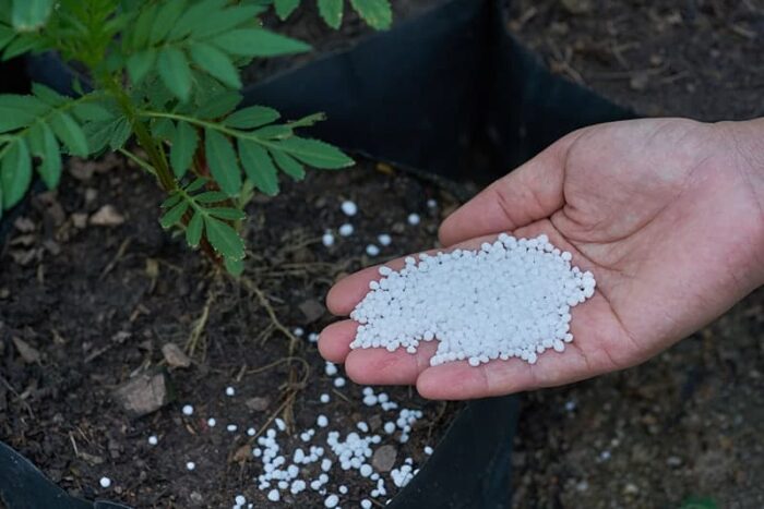 All You Need To Know About The Different Types Of Fertilizers Available ...