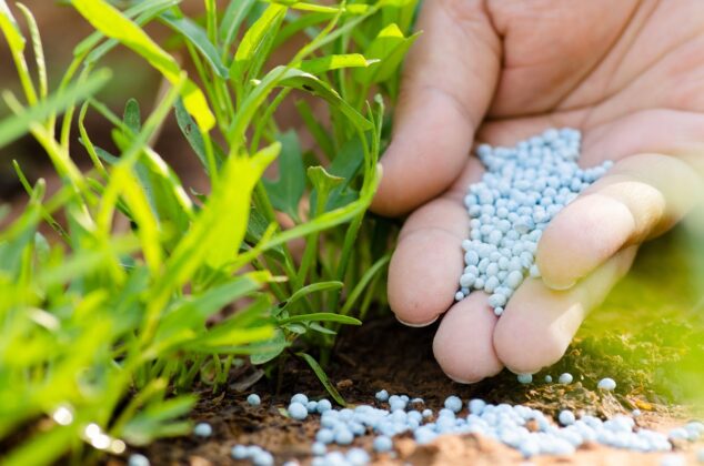 All You Need To Know About The Different Types Of Fertilizers Available ...