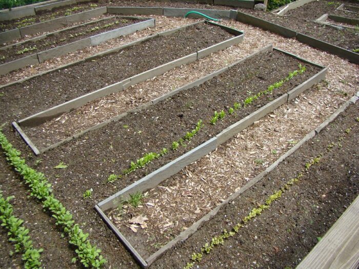 How to Prepare Your Garden Soil for Planting Vegetables? - Urban Farm ...