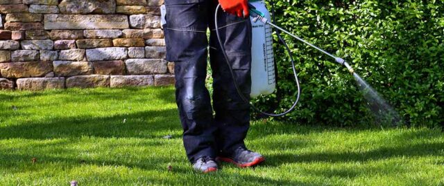 DIY Ticks Control: Tips and Tricks for a Tick-Free Home - Urban Farm Online