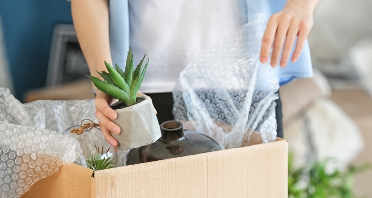 How to Move Plants: Tips for Successful Plant Relocation - Urban Farm ...