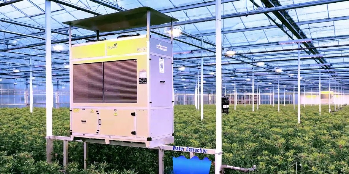 How to Do Environmental Management in a Greenhouse - Urban Farm Online