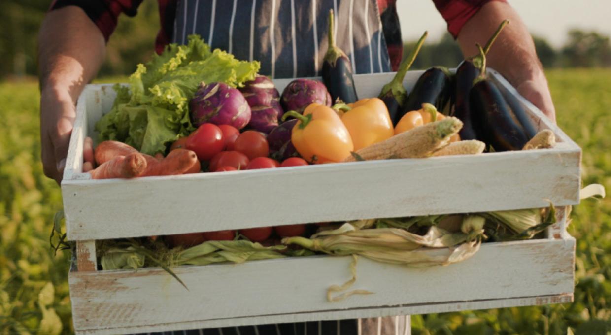 Growing Green: Designing Your Farm-to-Table Business for Success - 2024 ...