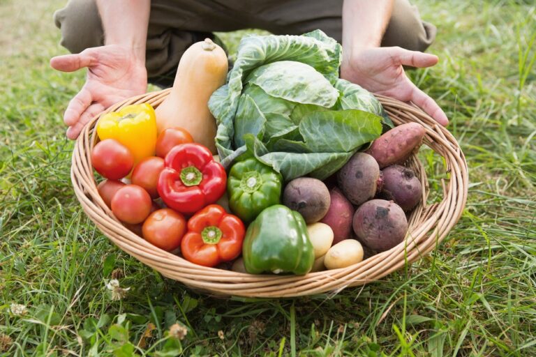 Growing Green: Designing Your Farm-to-Table Business for Success - 2024 ...