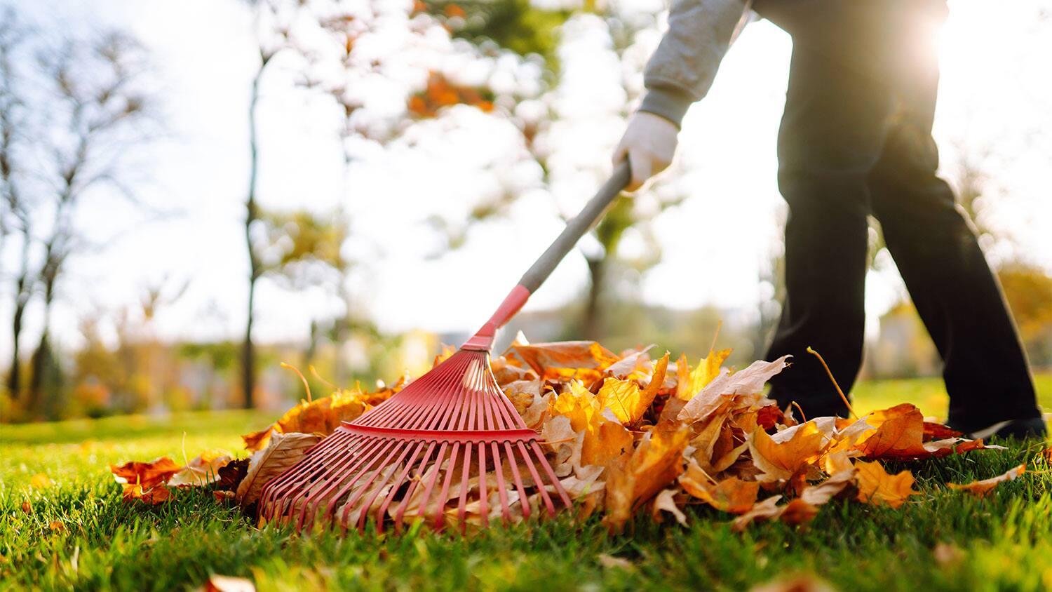 North Shore Landscape Maintenance Tips Keeping Your Outdoor Space ...