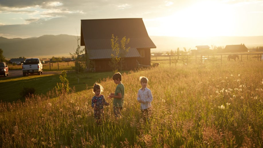 Moving to the Countryside? 5 Tips For A Smooth Transition - Urban Farm ...