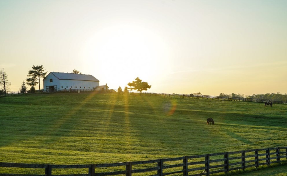 Moving to the Countryside? 5 Tips For A Smooth Transition - Urban Farm ...