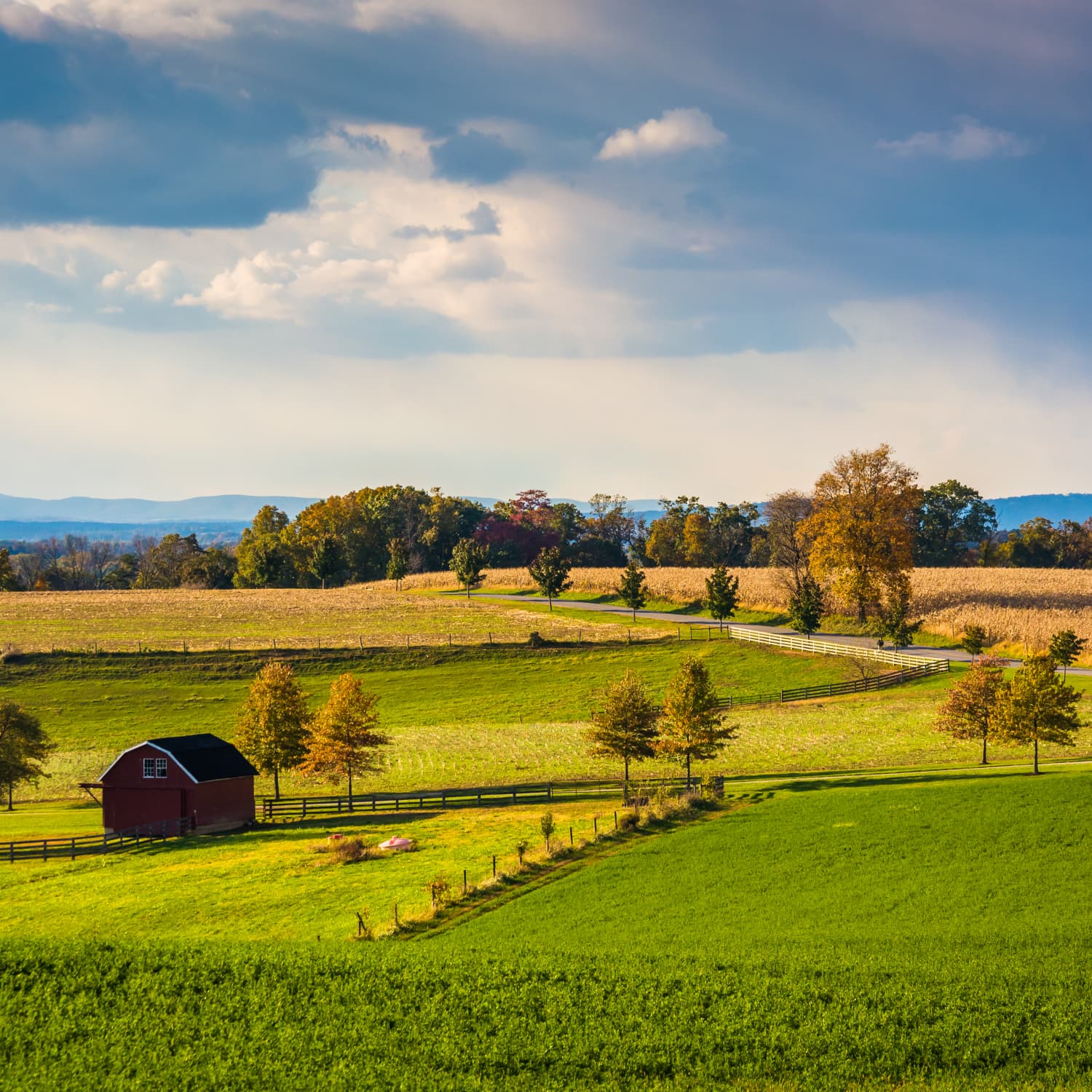 Moving to a Rural Area: 9 Things You Need to Know - Urban Farm Online