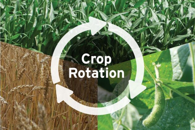 Rotating for Success: The Benefits of Crop Rotation in Western Canada ...